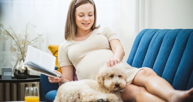 Megérezheti a kutyád, hogy terhes vagy?