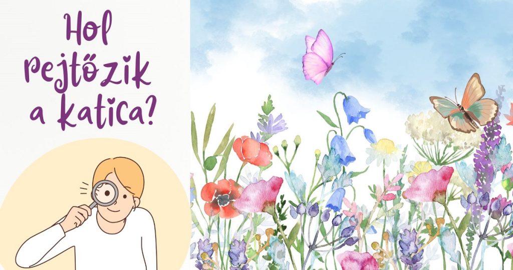 Képrejtvény jó megfigyelőknek